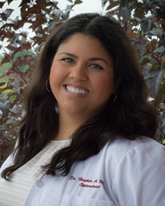 Amsterdam Eye Care: Laser Eye Surgery & Eye Health